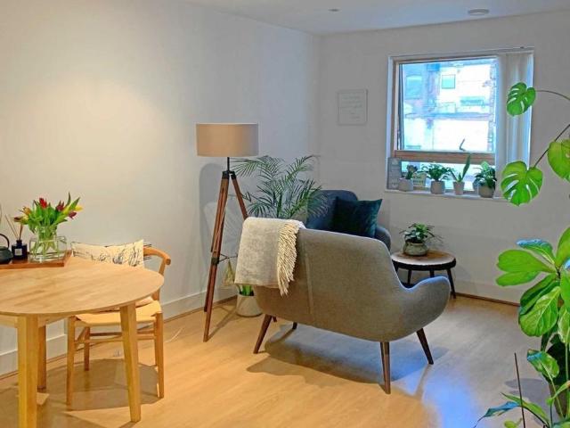 1 bedroom apartment to rent