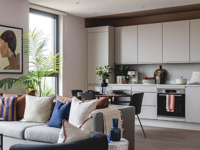 1 bedroom apartment to rent