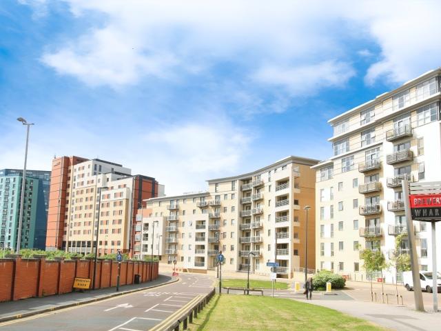 1 bedroom apartment to rent