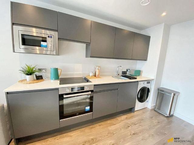 1 bedroom apartment to rent