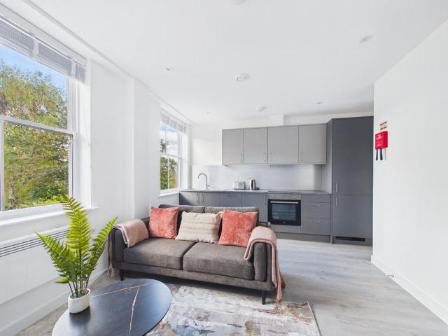 1 bedroom apartment to rent