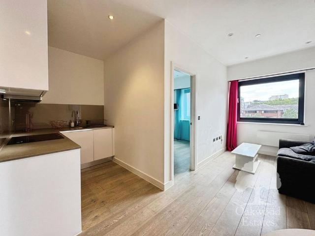 1 bedroom apartment to rent