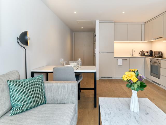 1 bedroom apartment to rent