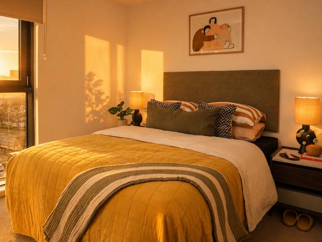 1 bedroom apartment to rent