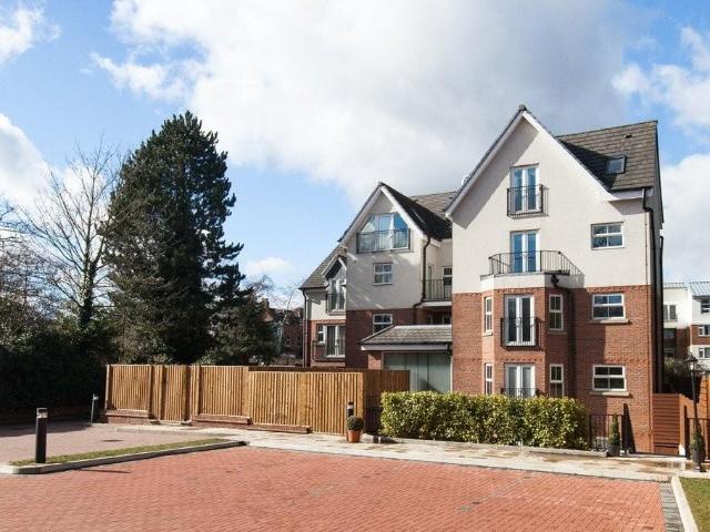 1 bedroom apartment to rent