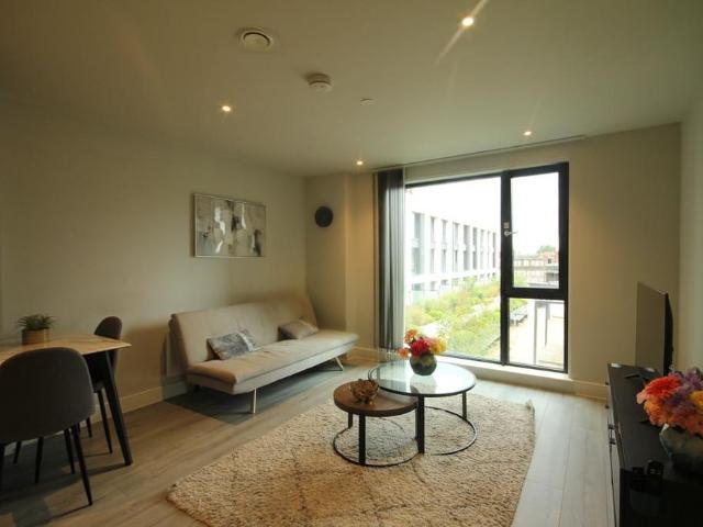 1 bedroom apartment to rent