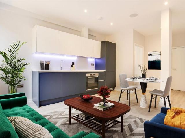 1 bedroom apartment to rent