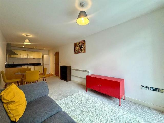 1 bedroom apartment to rent