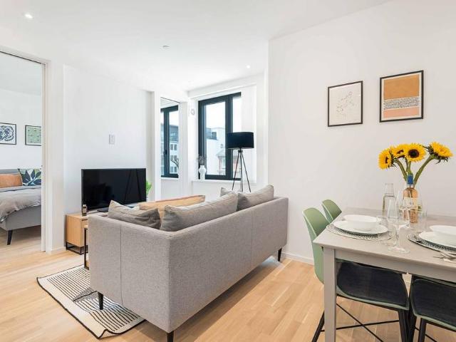 1 bedroom apartment to rent