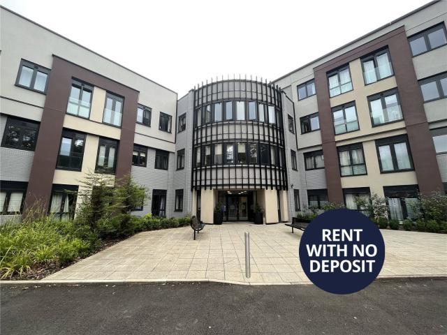 1 bedroom apartment to rent
