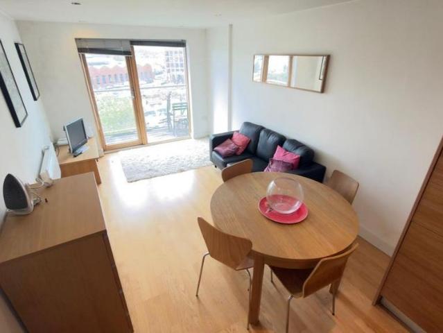 1 bedroom apartment to rent