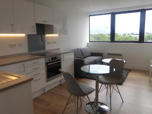 1 bedroom apartment to rent