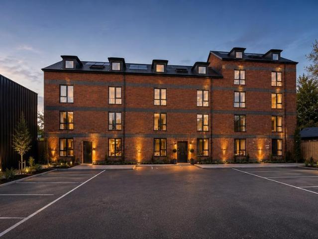 1 bedroom apartment to rent