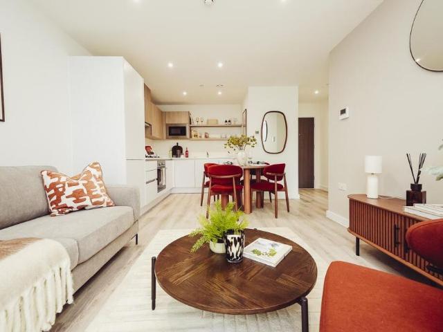 1 bedroom apartment to rent