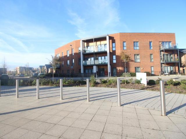 1 bedroom apartment to rent