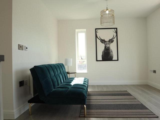 1 bedroom apartment to rent