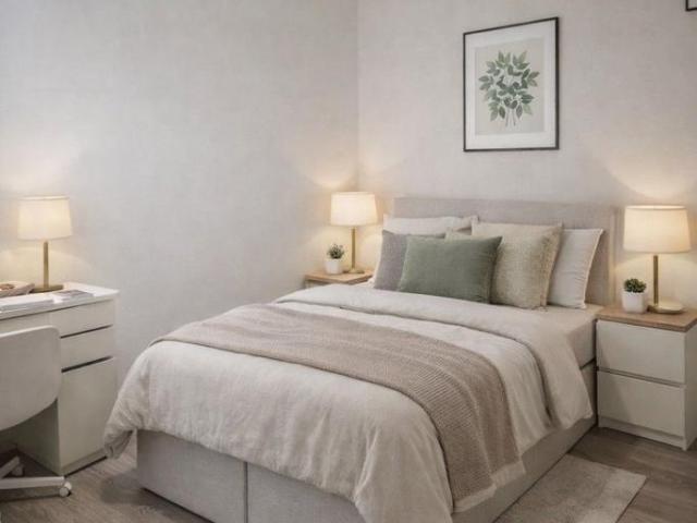 1 bedroom apartment to rent