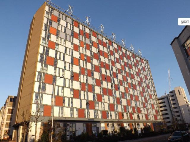 1 bedroom apartment to rent