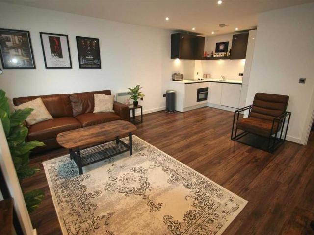 1 bedroom apartment to rent