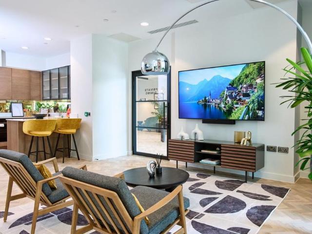 1 bedroom apartment to rent