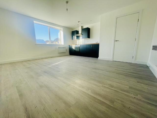 1 bedroom apartment to rent
