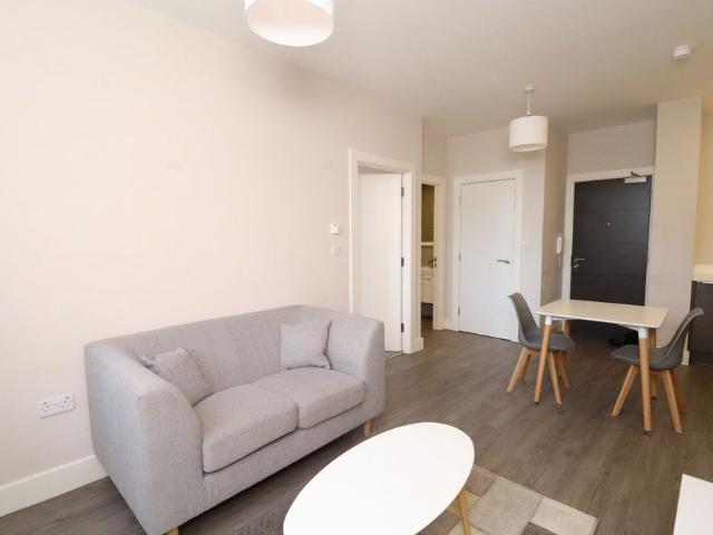 1 bedroom apartment to rent
