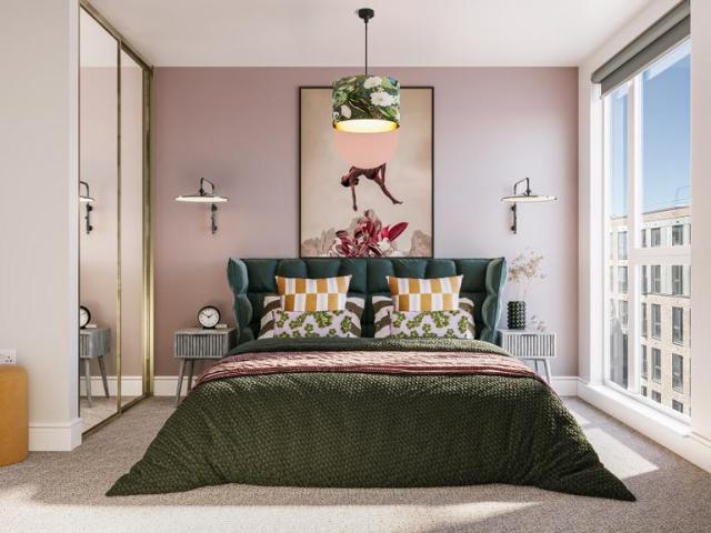 1 bedroom apartment to rent