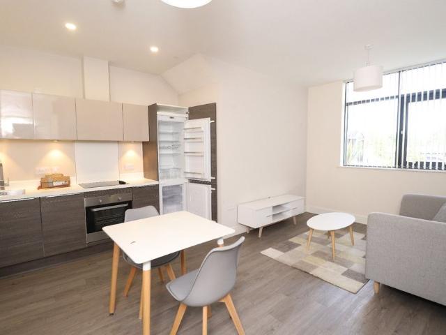 1 bedroom apartment to rent