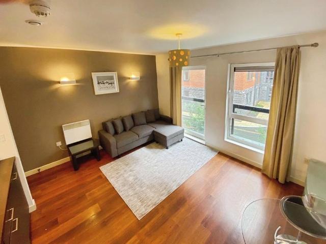 1 bedroom apartment to rent
