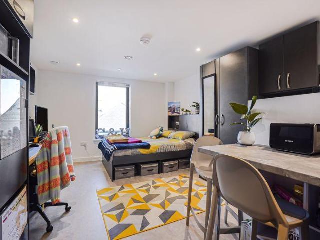 1 bedroom apartment to rent
