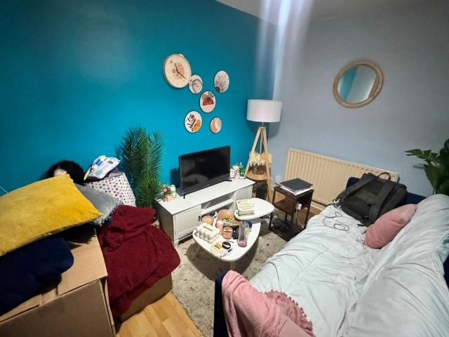 1 bedroom apartment to rent
