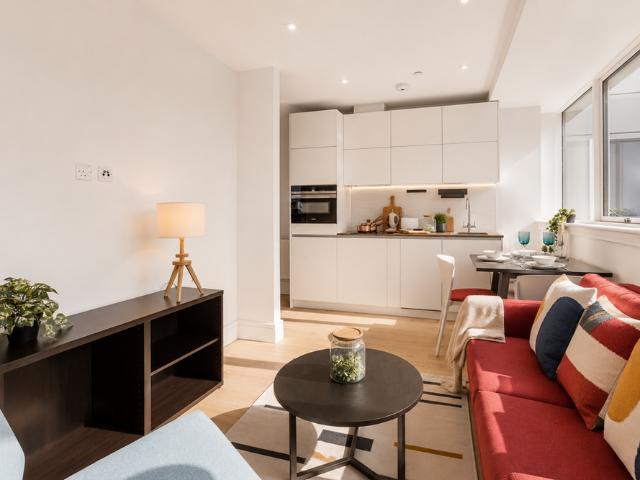 1 bedroom apartment to rent