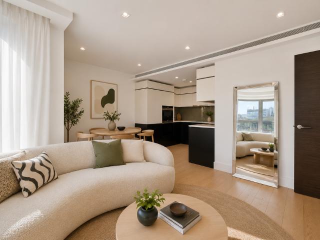1 bedroom apartment to rent