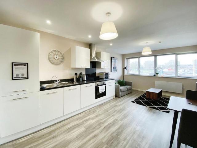 1 bedroom apartment to rent