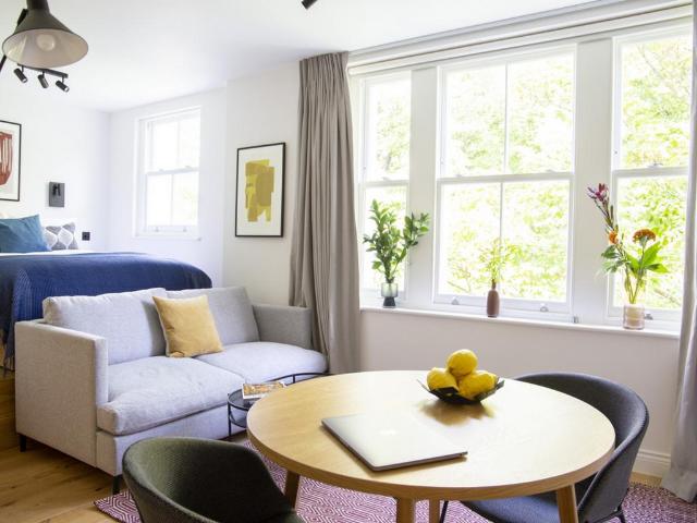 1 bedroom apartment to rent