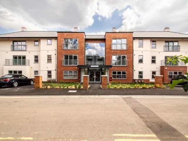 1 bedroom apartment to rent
