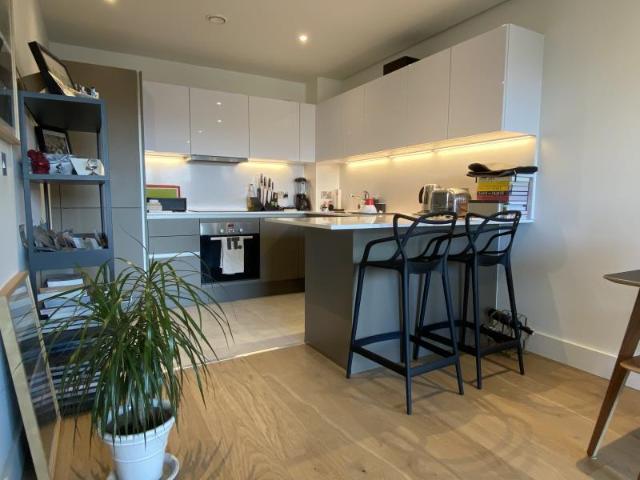 1 bedroom apartment to rent