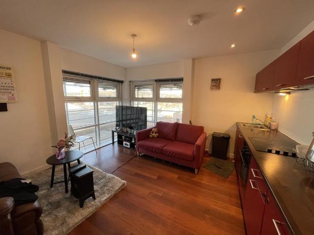 1 bedroom apartment to rent