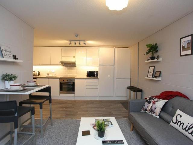 1 bedroom apartment to rent