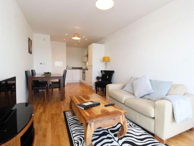 1 bedroom apartment to rent
