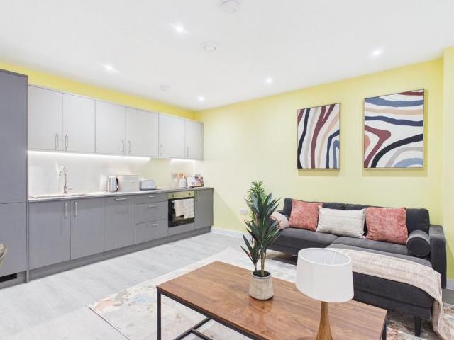 1 bedroom apartment to rent