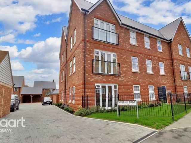 1 bedroom apartment to rent