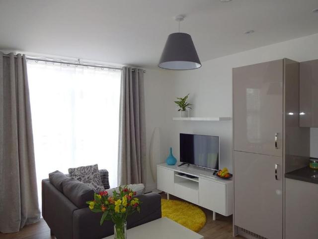 1 bedroom apartment to rent