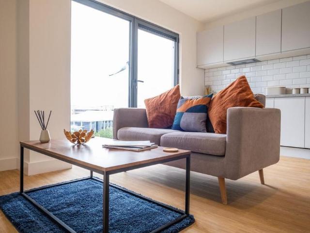 1 bedroom apartment to rent
