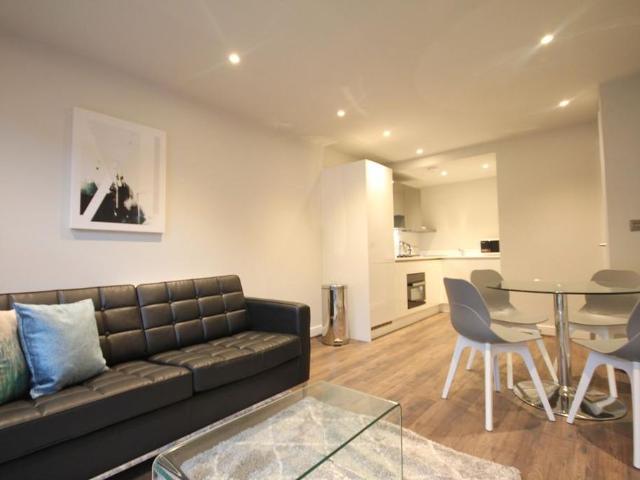 1 bedroom apartment to rent