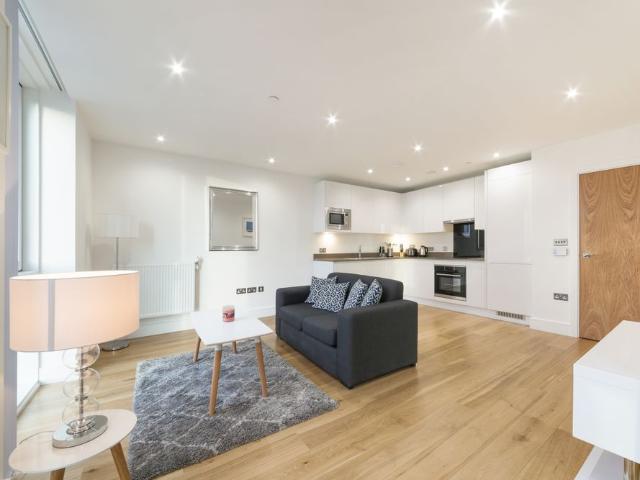 1 bedroom apartment to rent