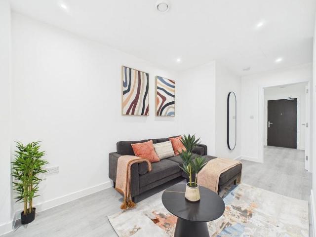 1 bedroom apartment to rent