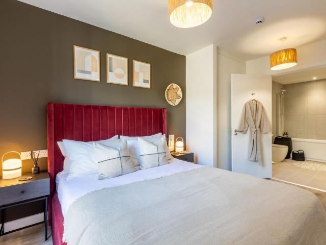 1 bedroom apartment to rent