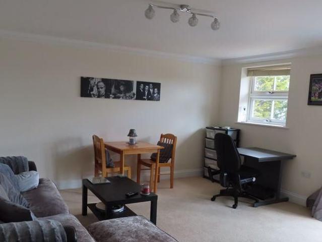 1 bedroom apartment to rent