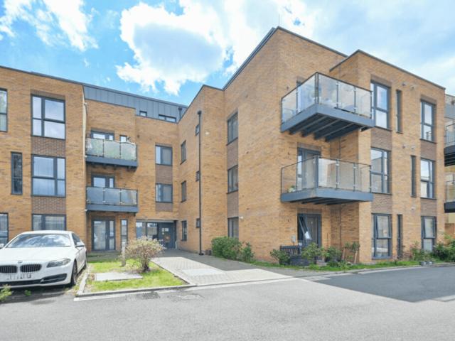 1 bedroom apartment to rent